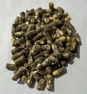 ecoFeed Group – Ecofriendly agricultural feeds for the Africa farming ...