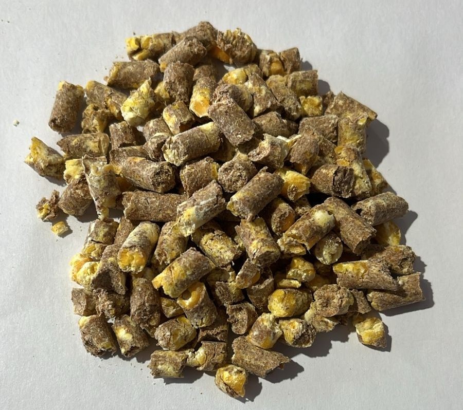 ecoFeed Group – Ecofriendly agricultural feeds for the Africa farming ...