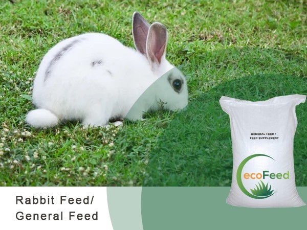 ecoFeed Group – Ecofriendly agricultural feeds for the Africa farming ...