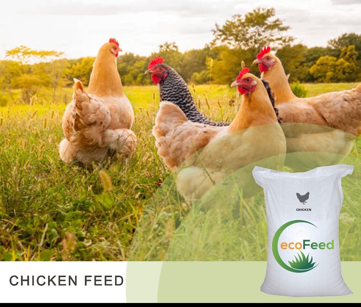 ecoFeed Group – Ecofriendly agricultural feeds for the Africa farming ...