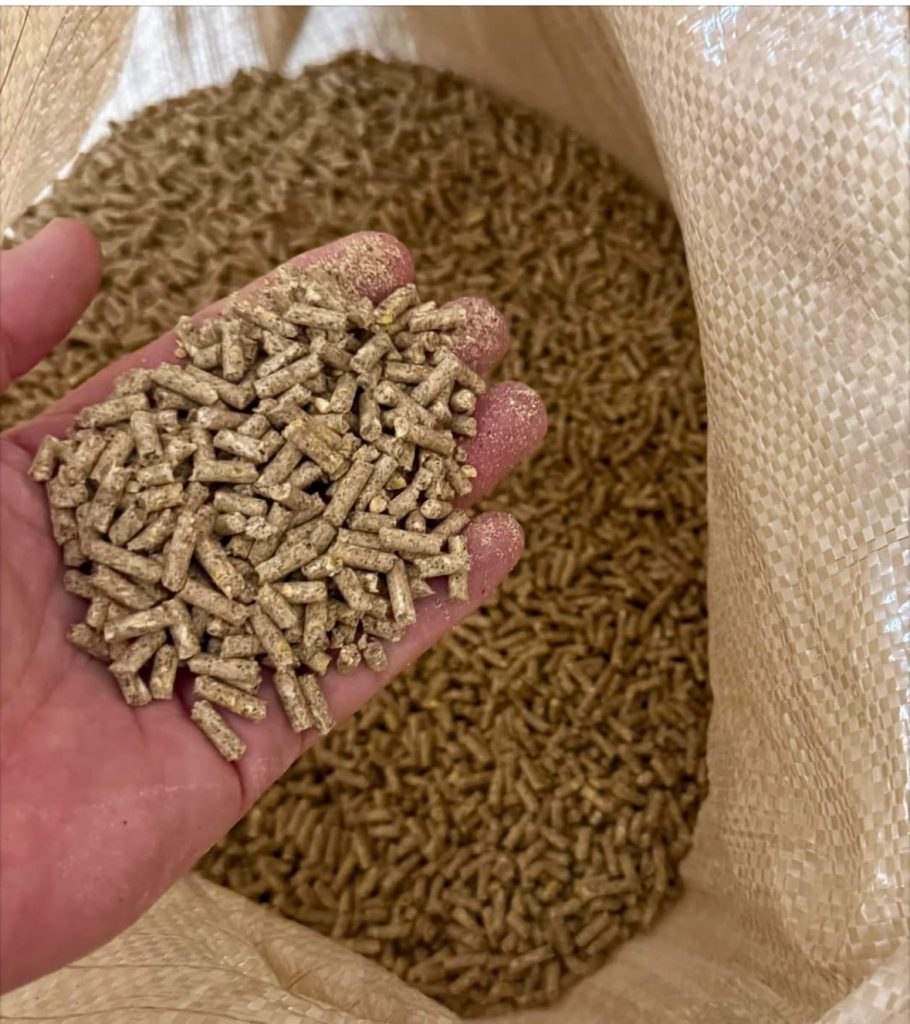 ecoFeed Group – Ecofriendly agricultural feeds for the Africa farming ...